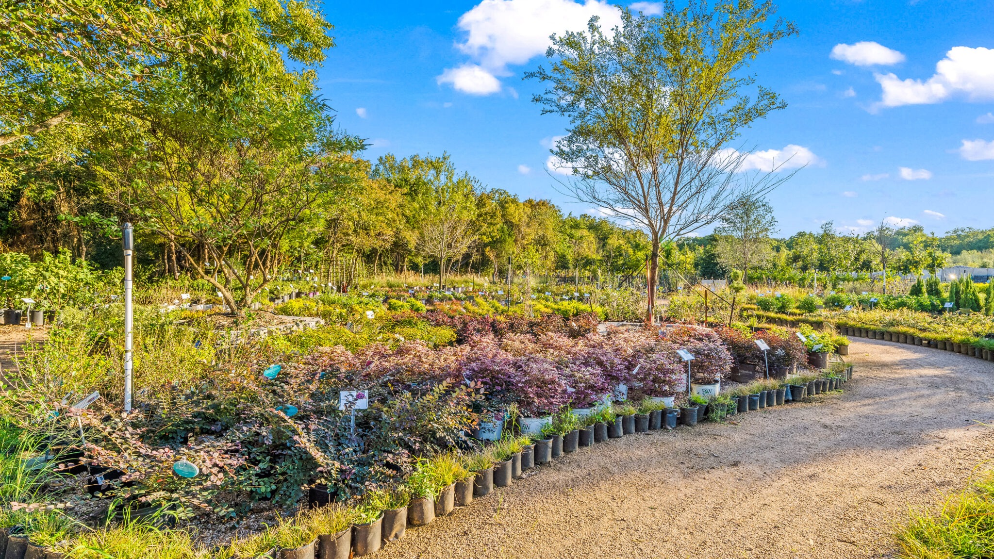 Residential Greenery & Landscape Installation – Earthtones Companies